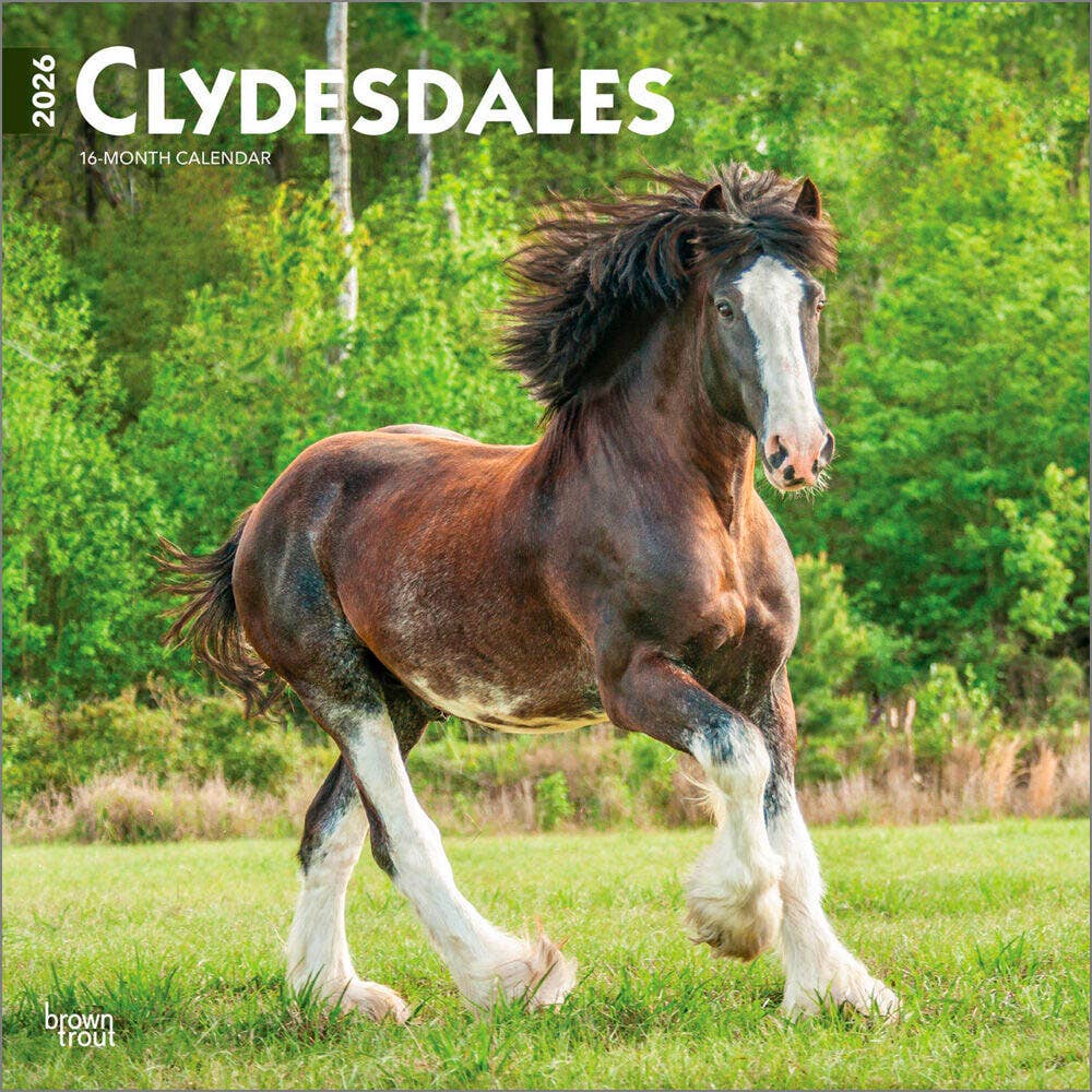 Clydesdales 2026 Monthly Square Wall Calendar – The Glamorous Grub