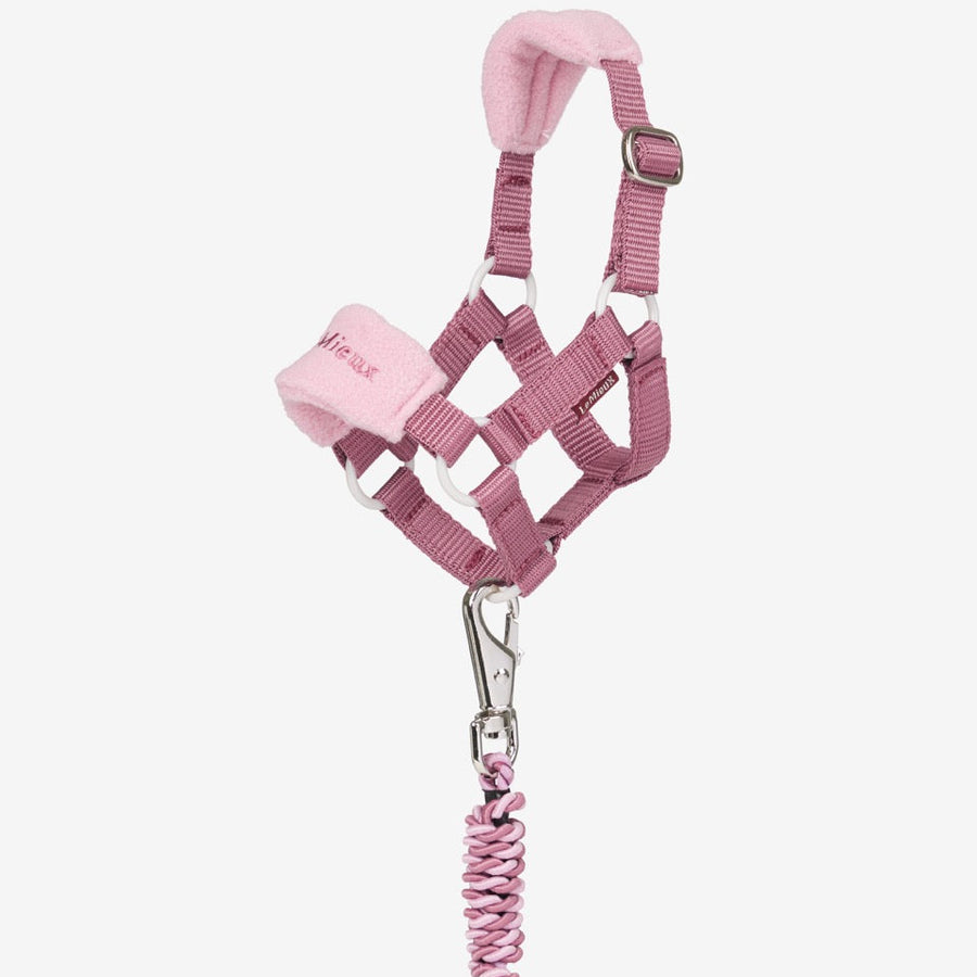LeMieux Toy Ponies | For kids that love horses – The Glamorous Grub